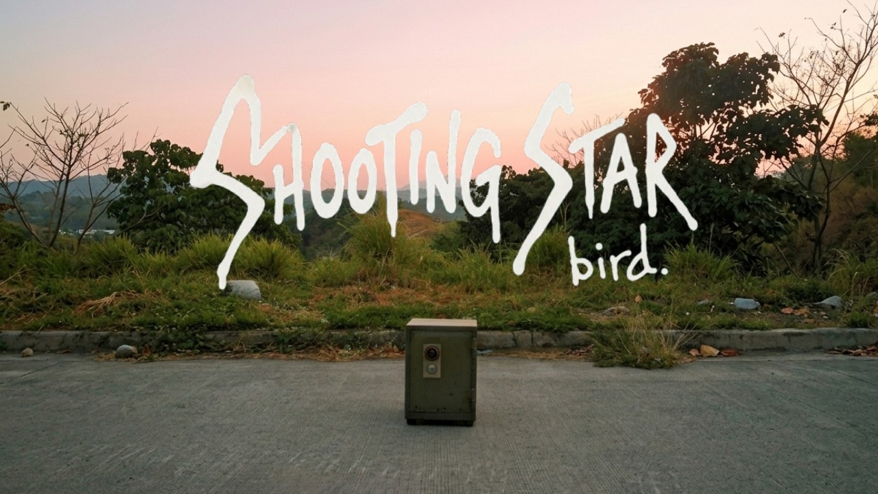 bird. - SHOOTING STAR (Official Music Video)