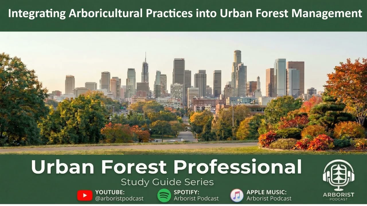 Urban Forest Management vs. Arboriculture: Strategy Meets Practice (Ep.60) #UrbanForestry