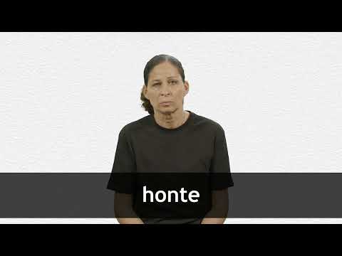 English Translation of “HONTE” | Collins French-English Dictionary
