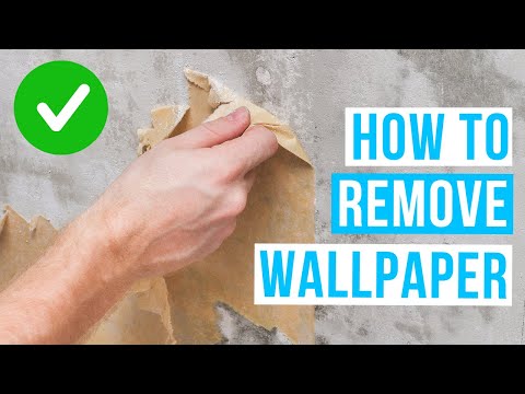 How to REMOVE WALLPAPER | Stripping wallpaper from plaster walls