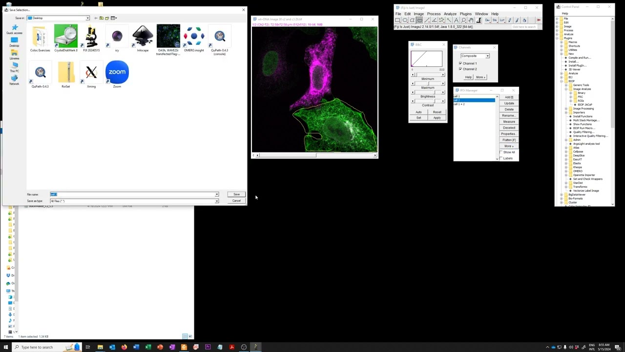 5 Visual check of data -  2D histograms with ROIs (HD)