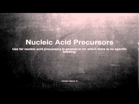 Medical vocabulary: What does Nucleic Acid Precursors mean