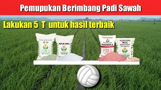 benarfuzziblog: Cara Pemupukan Padi Yang Benar