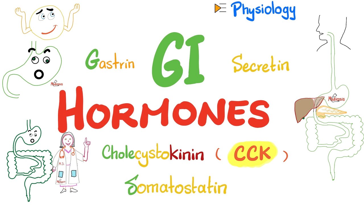 Understanding Gastrointestinal Secretions: The Role of Hormones in GI ...