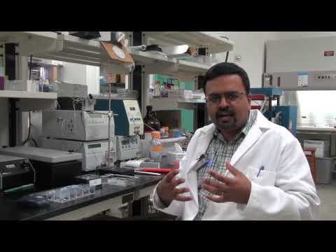 Bridget doherty women’s health magazine | uxixenij