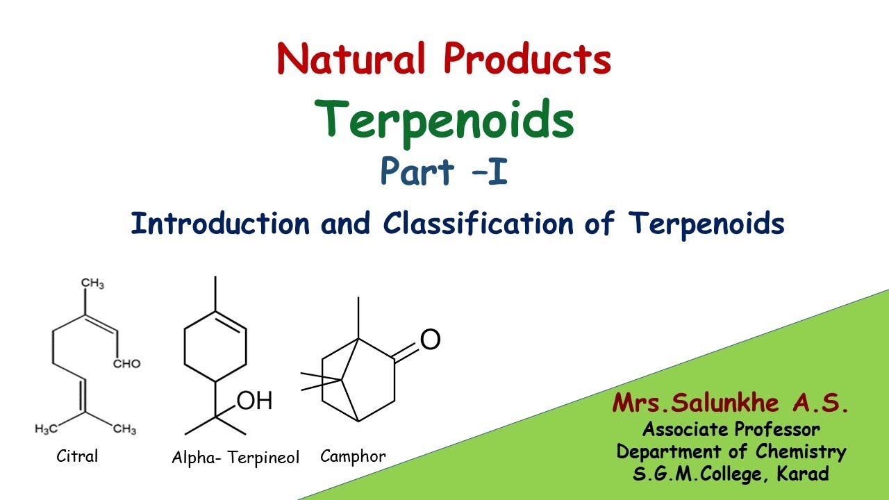 Understanding Terpenoids: An Introduction and Classification | Galaxy.ai