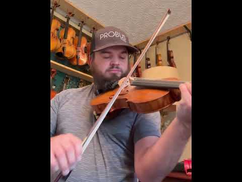 Powerful Brad Robinson 5-String Fiddle/Violin “Francis” | Reverb