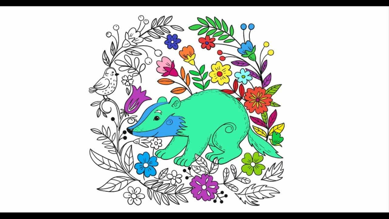 Beautiful Badger Coloring