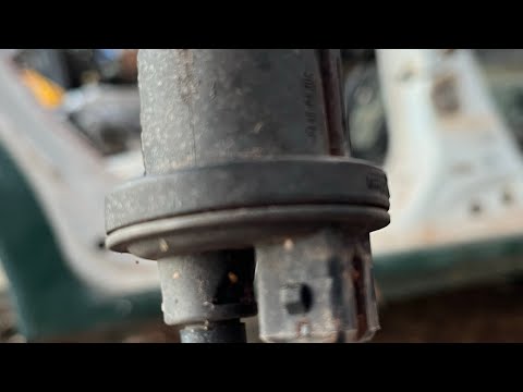 Canister