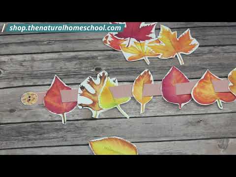 Montessori Fall Printable Bundle ~ 10 Activities