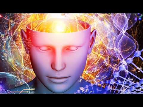 The Body Schema: A Journey you need Through the Unconscious
