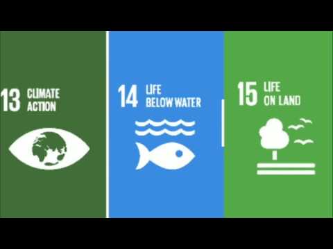 57 Climate Action - SDG 13, SDG 14, SDG 15