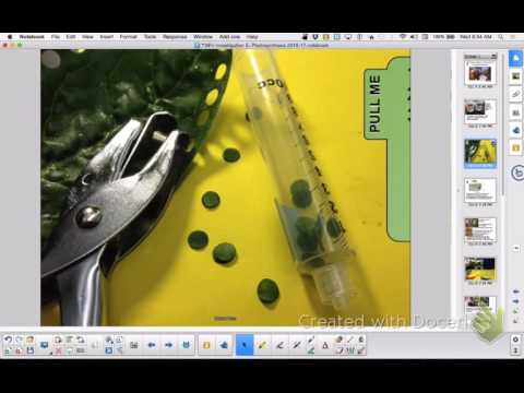 APBio Investigation 5: Photosynthesis