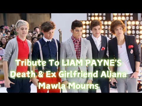 #newsanalysis108 #alianamawla #liampayne Aliana Mawla's 7 Day Countdown to Winning Him Back