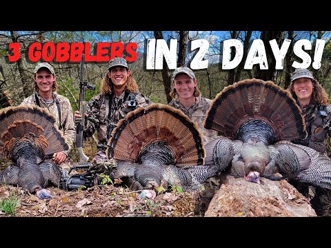THREE BIRDS in TWO DAYS - CRAZY OPENING WEEK ACTION!