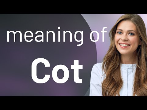 Cots, Comfort, and Clarity: A Deep Dive