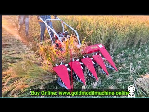 Kamco Paddy Reaper - Latest Price, Dealers & Retailers in India