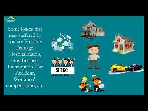 Introduction to Insurance