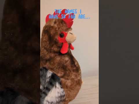 What Should I Name My Stuffed Chicken?