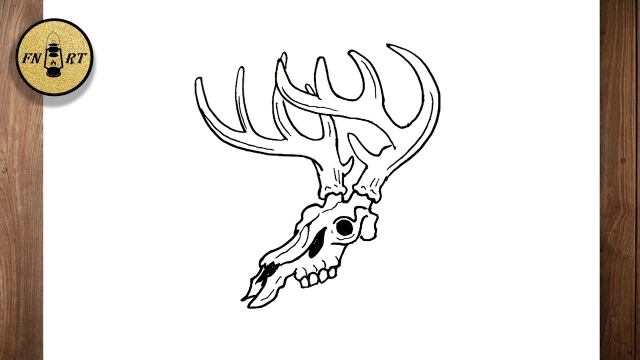 How to draw a deer skull step by step