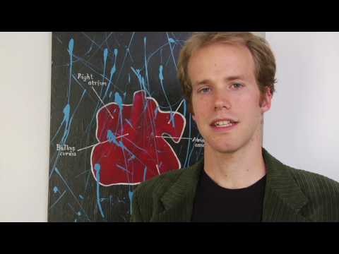 Science & Chemistry Facts : What Is Ammonia?