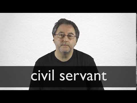CIVIL SERVANT definition and meaning | Collins English Dictionary