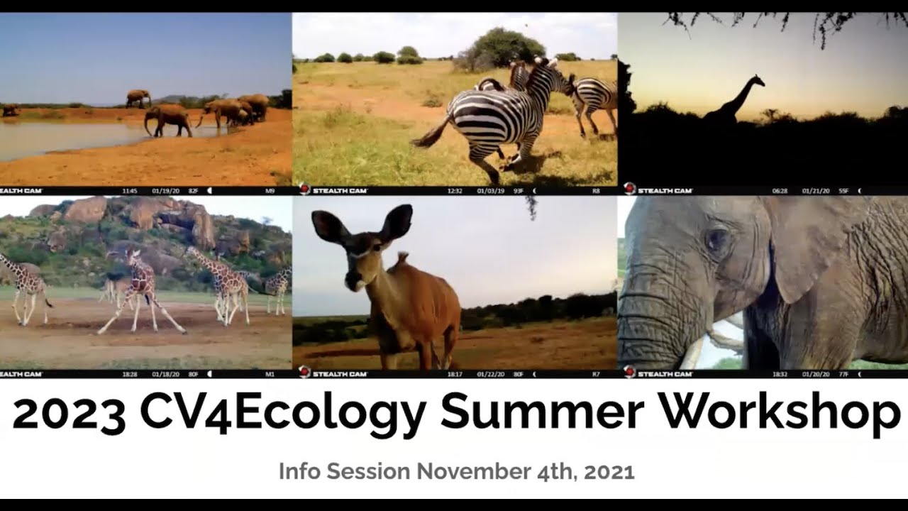 CV4Ecology 2023 Application InfoSession