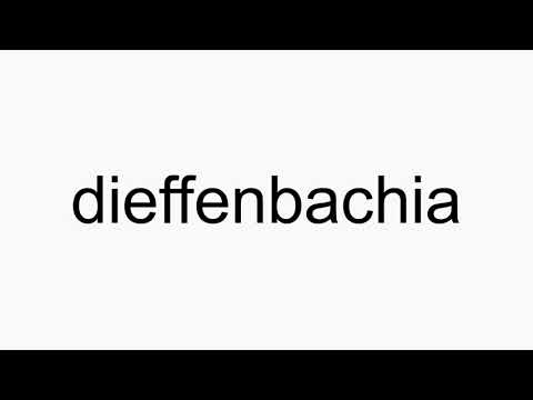 How to pronounce dieffenbachia