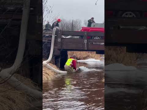 DNR Fisheries Staff Stocking Steelhead Trout