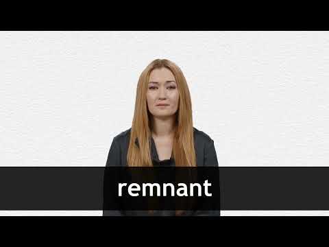REMNANT - Definition & Translations | Collins English Dictionary