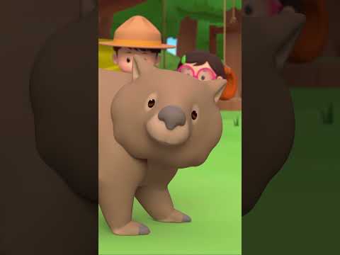 ARE YOU SURE THESE ARE CHOCOLATES?! π« | Leo the Wildlife Ranger | #shorts #animals #fun