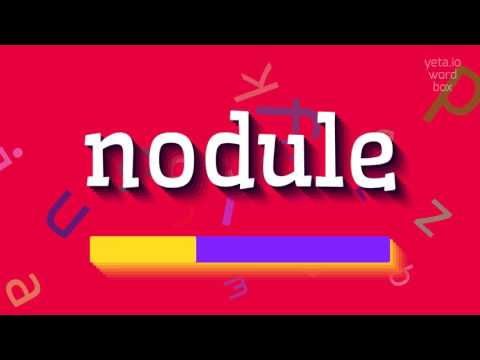 How to say "nodule"! (High Quality Voices)