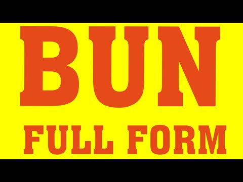 full form of BUN || बन की फुल फार्म || full meaning of BUN in hindi & english