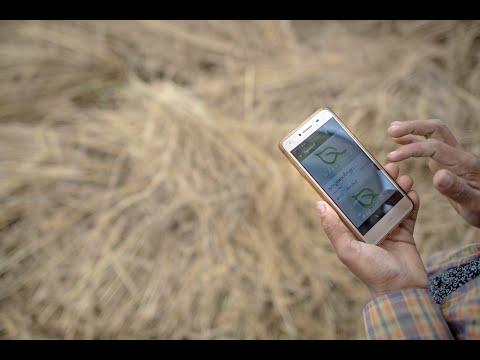 Food Tech and Climate-Smart Agriculture