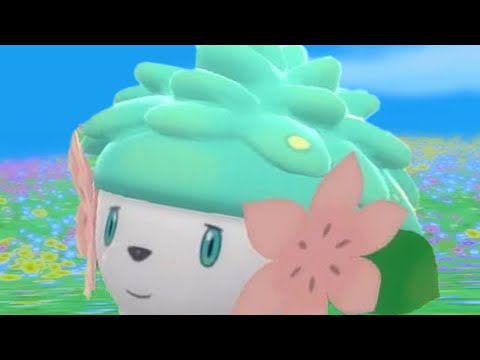 The Ultimate Full-Odds Shiny Shaymin Hunt in Pokémon BDSP!