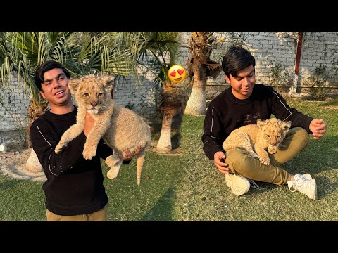 Finally Baby Lion La Lia 😍