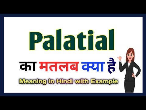 Palatial meaning in Hindi || Palatial meaning || Word meaning in Hindi