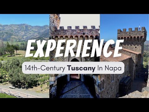 Ride The Boba Tea Train In Northern California