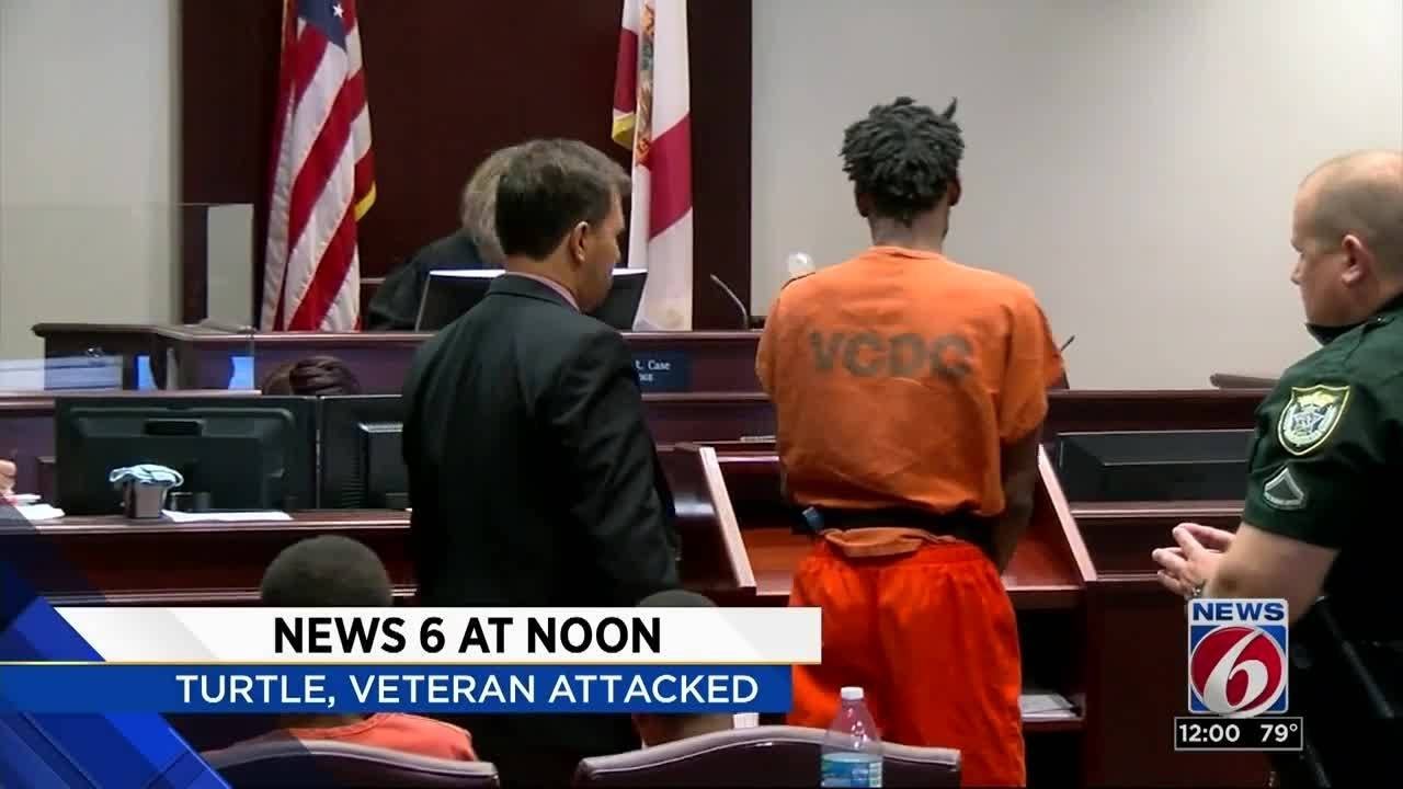Two men accused of killing turtle in court