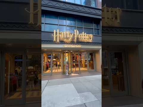Stepped into the Wizarding World right in the heart of Chicago ⚡🧙♀️