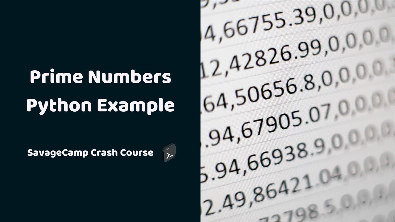 Python Example For Beginners | Prime Numbers Python | SavageCamp