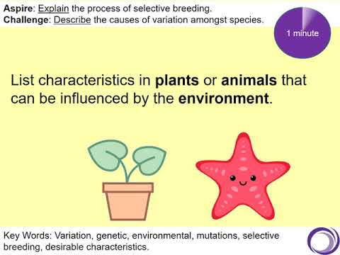 Selective Breeding