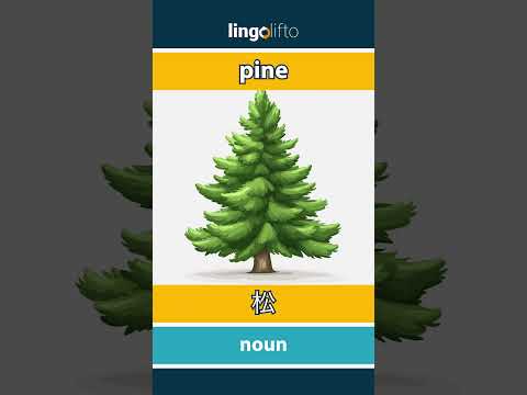 🇬🇧🇯🇵 pine - 松 : learn English : 英語を学ぼう : vocabulary builder