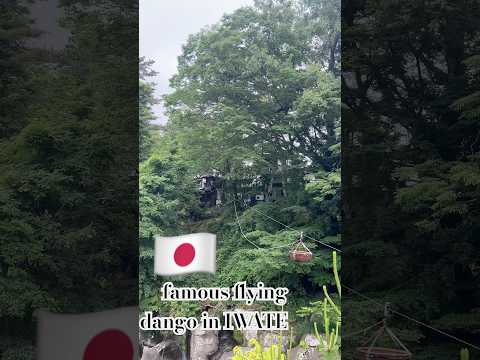 面白いお土産 FAMOUS FLYING DANGO in GEMBIKI GORGE IWATE KEN #iwate #青森屋 #japan #anakawaguchi