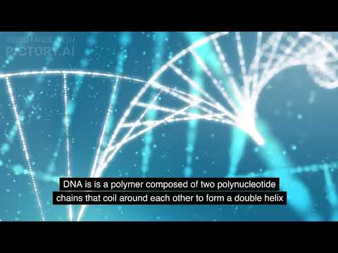 DNA Definition