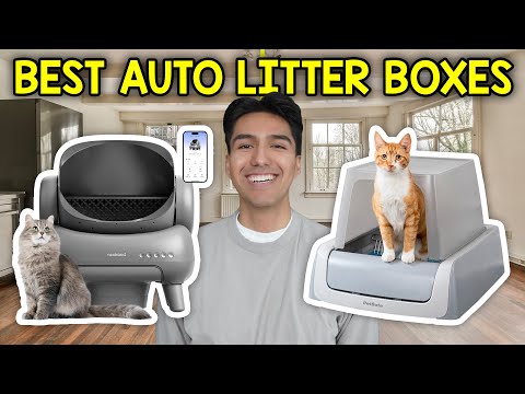I Found The Best Automatic Cat Litterboxes For 2025
