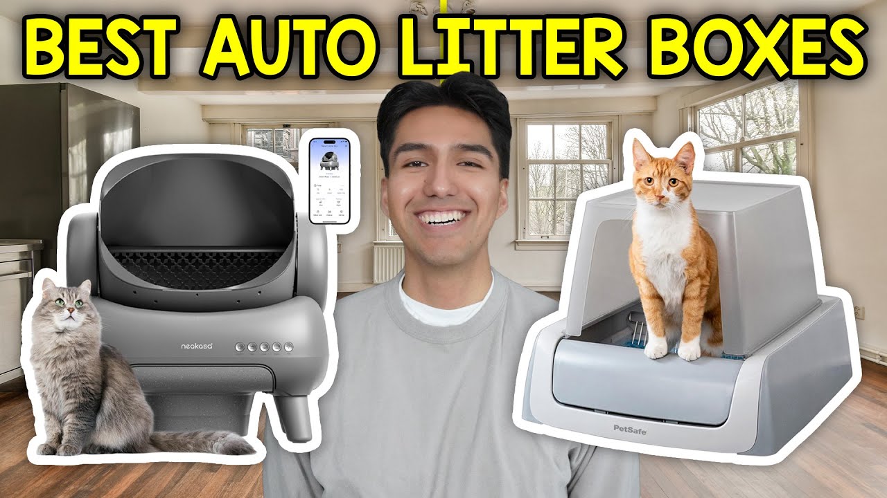 I Found The Best Automatic Cat Litterboxes For 2026