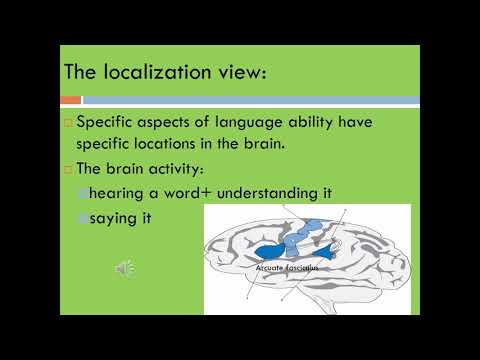 Neurolinguistics / The language and the brain