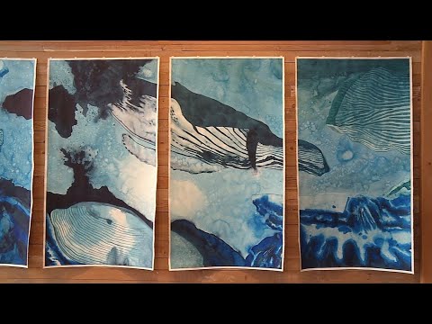 Ocean Fest Tacoma returns with ballet, art, hands-on science and more - KING 5 Evening