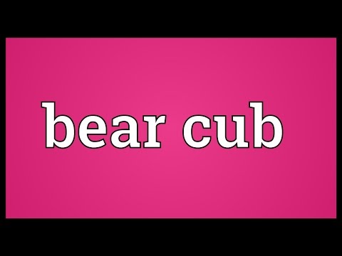 Bear cub Meaning